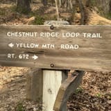 Chestnut Ridge Trail, Virginia - 470 Reviews, Map | AllTrails