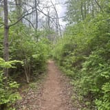 Chestnut Ridge Trail, Virginia - 470 Reviews, Map | AllTrails