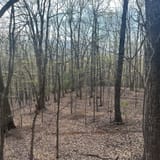 Chestnut Ridge Trail, Virginia - 470 Reviews, Map | AllTrails