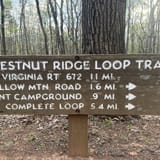 Chestnut Ridge Trail, Virginia - 470 Reviews, Map | AllTrails