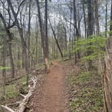 Chestnut Ridge Trail, Virginia - 470 Reviews, Map | AllTrails