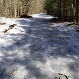 Chesterfield Gorge Trail, Massachusetts - 381 Reviews, Map | AllTrails
