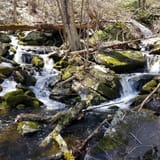 Chesterfield Gorge Trail, Massachusetts - 381 Reviews, Map | AllTrails