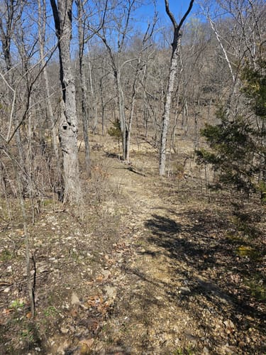 Best Hikes and Trails in Spring Creek Gap Conservation Area | AllTrails