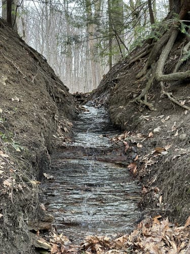 Best Hikes and Trails in Hell Hollow Wilderness Area | AllTrails