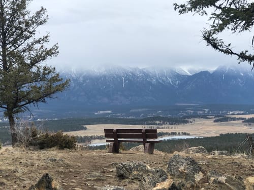 2023 Best Long Trails in Cranbrook Community Forest Recreation Site ...