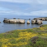Point Buchon Trail, California - 461 Reviews, Map | AllTrails