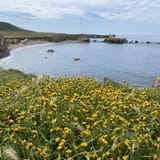 Point Buchon Trail, California - 461 Reviews, Map | AllTrails
