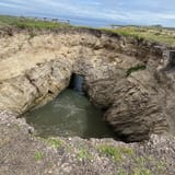 Point Buchon Trail, California - 461 Reviews, Map | AllTrails