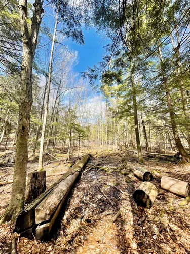 Best Hikes and Trails in Chesney Conservation Area | AllTrails