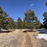 Colorow Mountain Forest and Meadow Loop Trail, Colorado - 509 Reviews ...