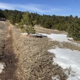 Colorow Mountain Forest and Meadow Loop Trail, Colorado - 509 Reviews ...