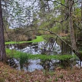 Ratcliff Lake Trail, Texas - 242 Reviews, Map | AllTrails