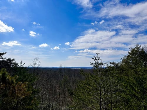 Best Hikes and Trails in Elk Neck State Forest | AllTrails