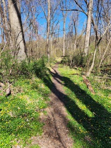 2023 Best Trails in Conowingo | AllTrails