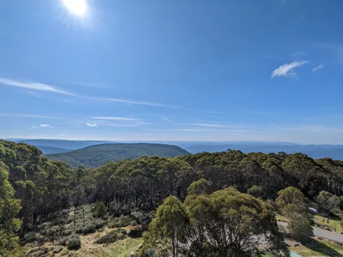 10 Best Hikes and Trails in Yarra Ranges National Park | AllTrails