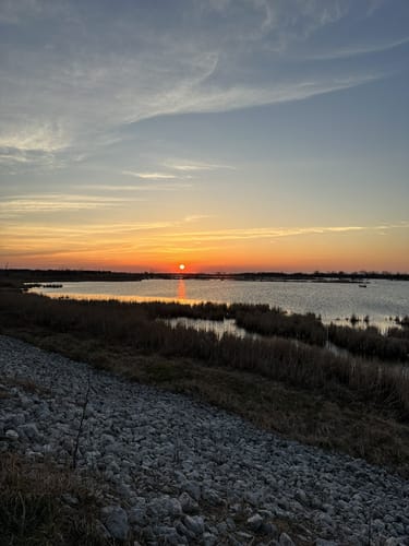 Best Hikes and Trails in Howard Marsh Metropark | AllTrails