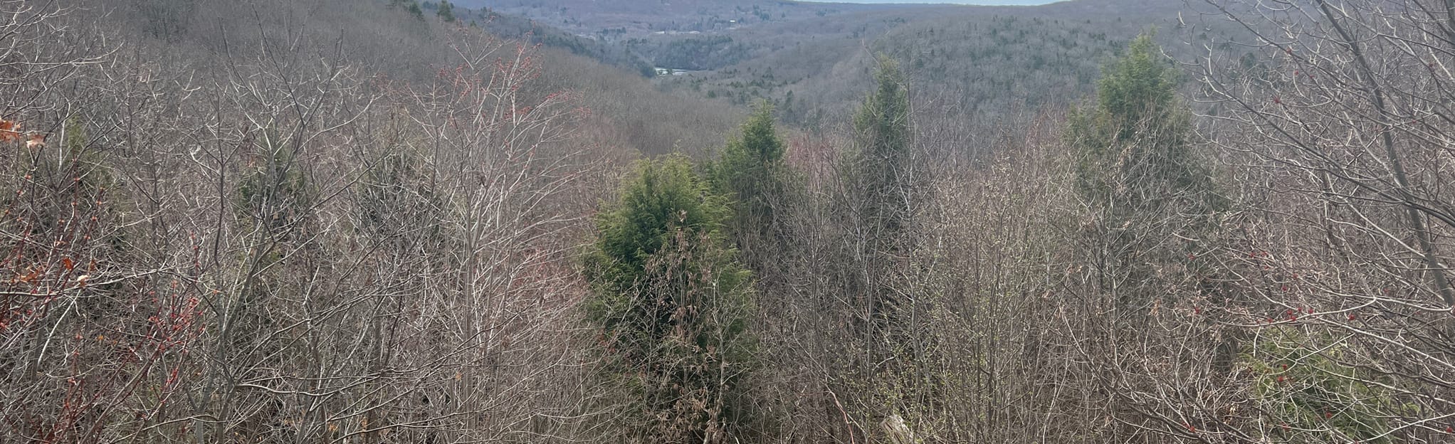 Pomperaug - Oxford Loop Trail, Connecticut - 340 Reviews, Map | AllTrails