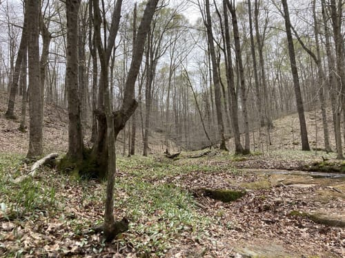 Best Hikes and Trails in Lake Malone State Park | AllTrails