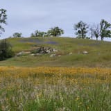 Hensley Lake Day Use Areas Trail, California - 356 Reviews, Map | AllTrails