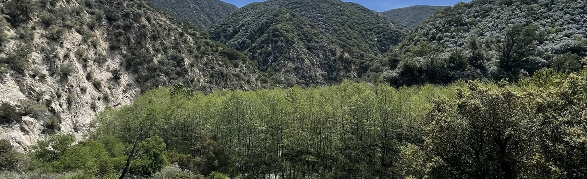 Gabrielino Trail to El Prieto Trail Loop: 276 Reviews, Map - California ...