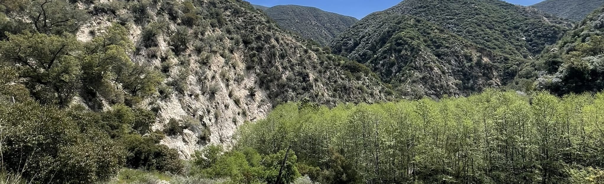 Arroyo Seco Road to Ken Burton Brown Mountain Loop: 140 Reviews, Map ...