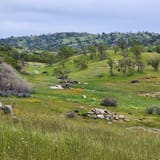 Hensley Lake Day Use Areas Trail, California - 356 Reviews, Map | AllTrails