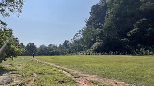 Best Hikes and Trails in Bukit Timah Nature Reserve | AllTrails