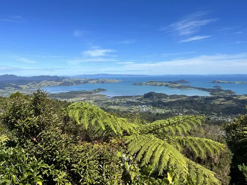 10 Best Trails and Hikes in Coromandel | AllTrails
