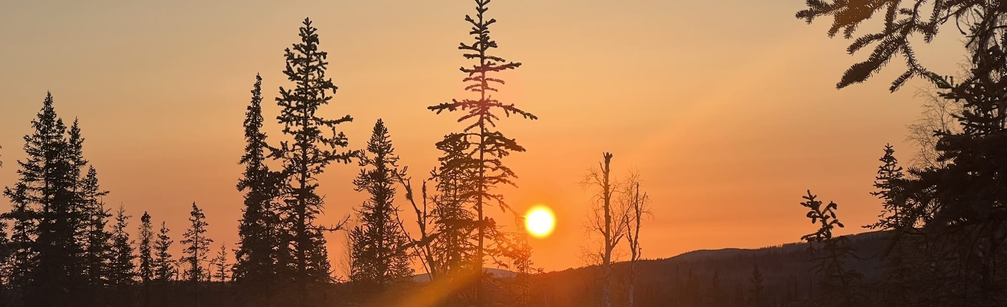 Goldstream Winter Trail, Alaska - 44 Reviews, Map | AllTrails