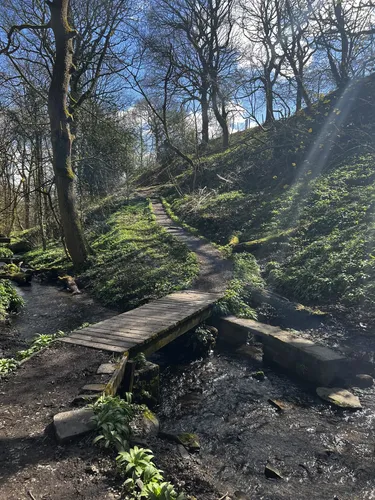 Best Hikes and Trails in Shelf Hall Park | AllTrails