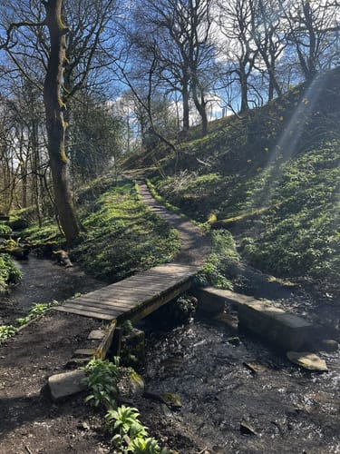 Best Hikes and Trails in Shelf Hall Park | AllTrails