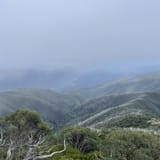Mount Feathertop via Razorback North Walking Track, Victoria, Australia ...