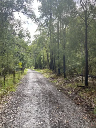 2023 Best Trails, Walks, and Paths in Rokeby | AllTrails