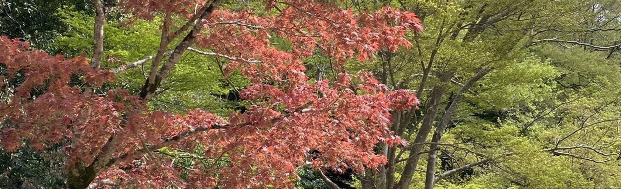Minoh Station - Minoh Waterfalls - Katsuo-ji Temple - Osaka, Japan ...