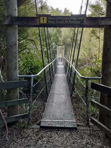 Best 10 Hikes and Trails in Kaimanawa Forest Park | AllTrails
