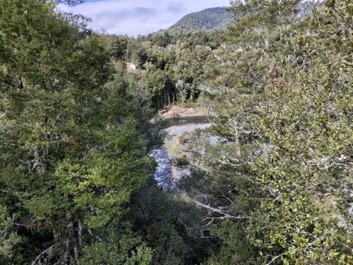 Best 10 Hikes and Trails in Kaimanawa Forest Park | AllTrails