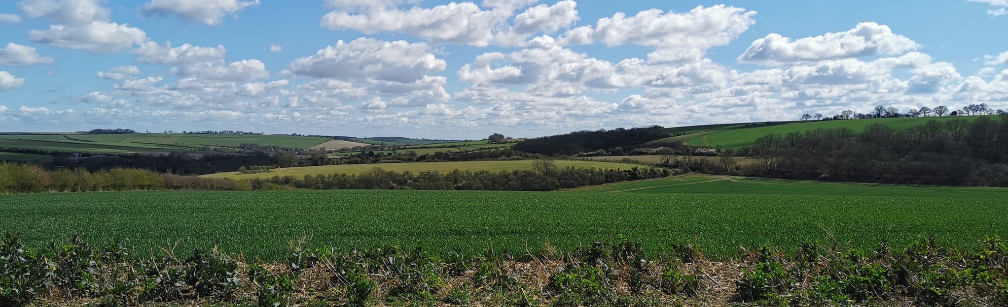 Lambourn and Eastbury Down: 33 Reviews, Map - Berkshire, England ...