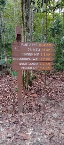 Best Long Trails in Lambir Hills National Park | AllTrails