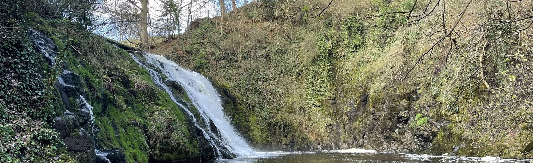 Stichill Linn: 28 Reviews, Map - Scottish Borders, Scotland | AllTrails