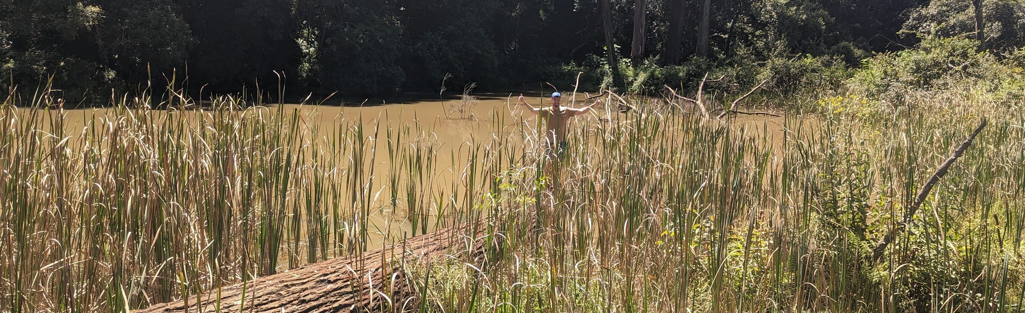 ANEW Ingeli Forest Trail, Kwazulu-Natal, South Africa - Map, Guide ...