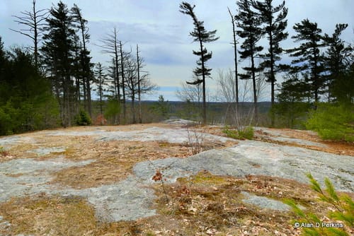 Best Hikes and Trails in Rock Rimmon State Forest | AllTrails