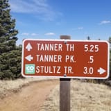 Tanner Trail, Colorado - 115 Reviews, Map | AllTrails
