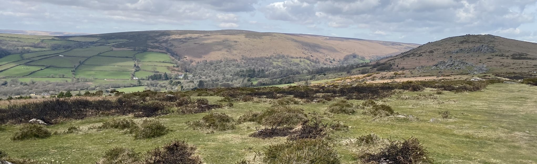 Bell Tor, Widecombe in the Moor, Pil Tor, and Top Tor Circular: 83 foto ...