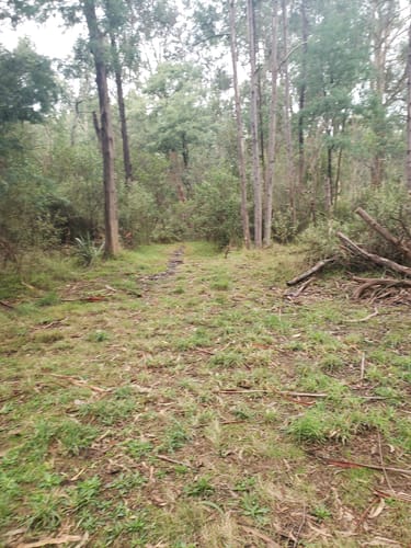 Best Hikes and Trails in Rokeby Flora Reserve | AllTrails