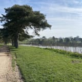 Thornton Reservoir and Bagworth Heath Woods Circular, Leicestershire ...