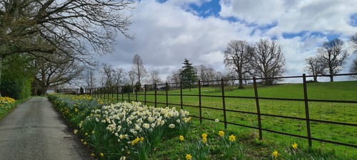 2023 Best 10 Kid Friendly Trails in High Weald Area of Outstanding ...