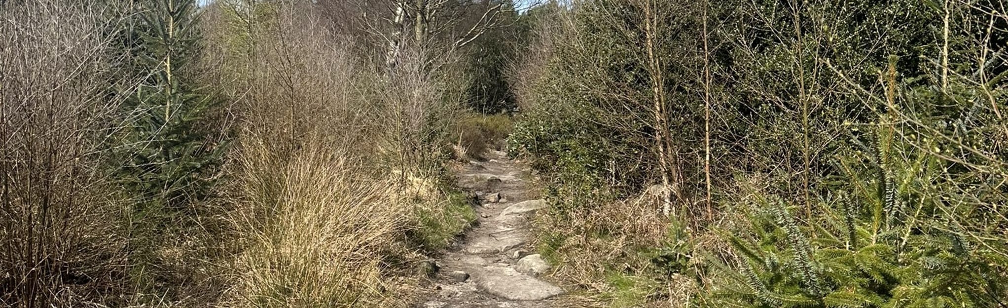 Cavendish Fields and Farley Wood, Derbyshire, England - 46 Reviews, Map ...