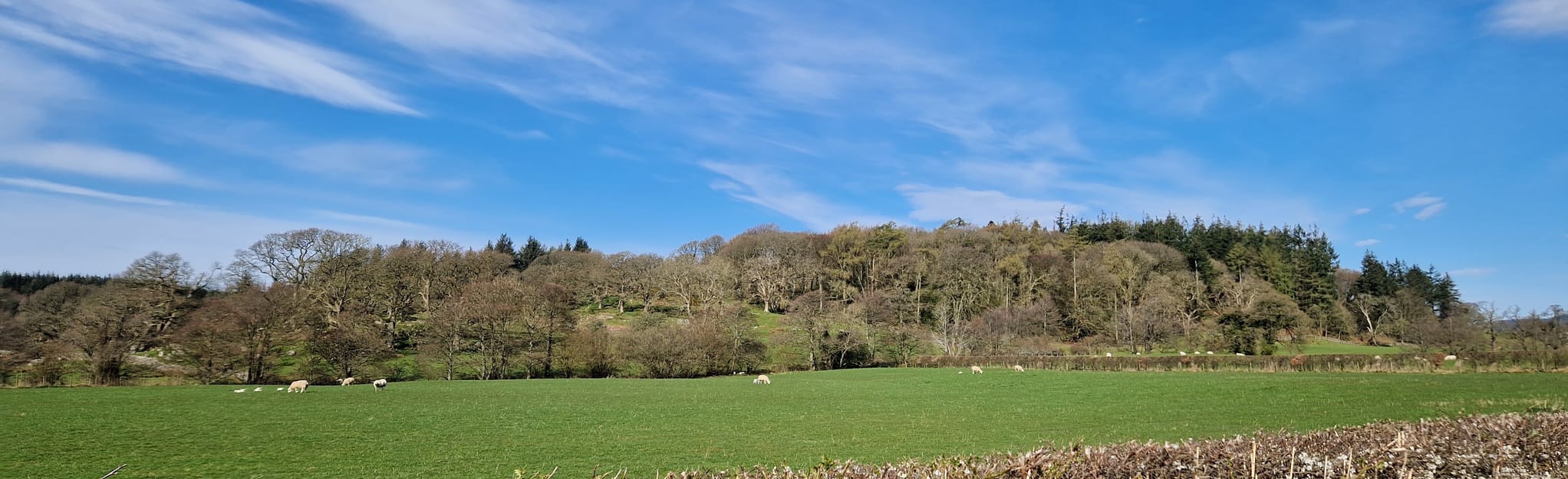 Moyl Circular, Dumfries and Galloway, Scotland - 17 Reviews, Map ...