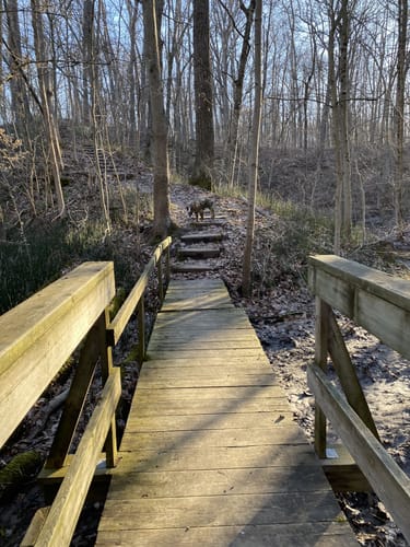 2023 Best Trail Running Trails in Strathroy-Caradoc | AllTrails